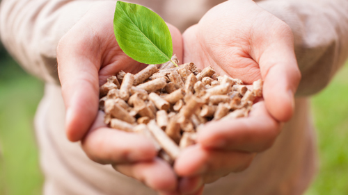 Mejores Pellets - Analizamos características y cualidades| OCU