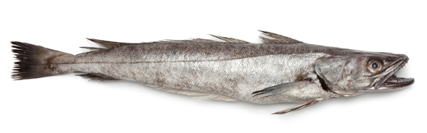 Las mejores merluzas congeladas | OCU