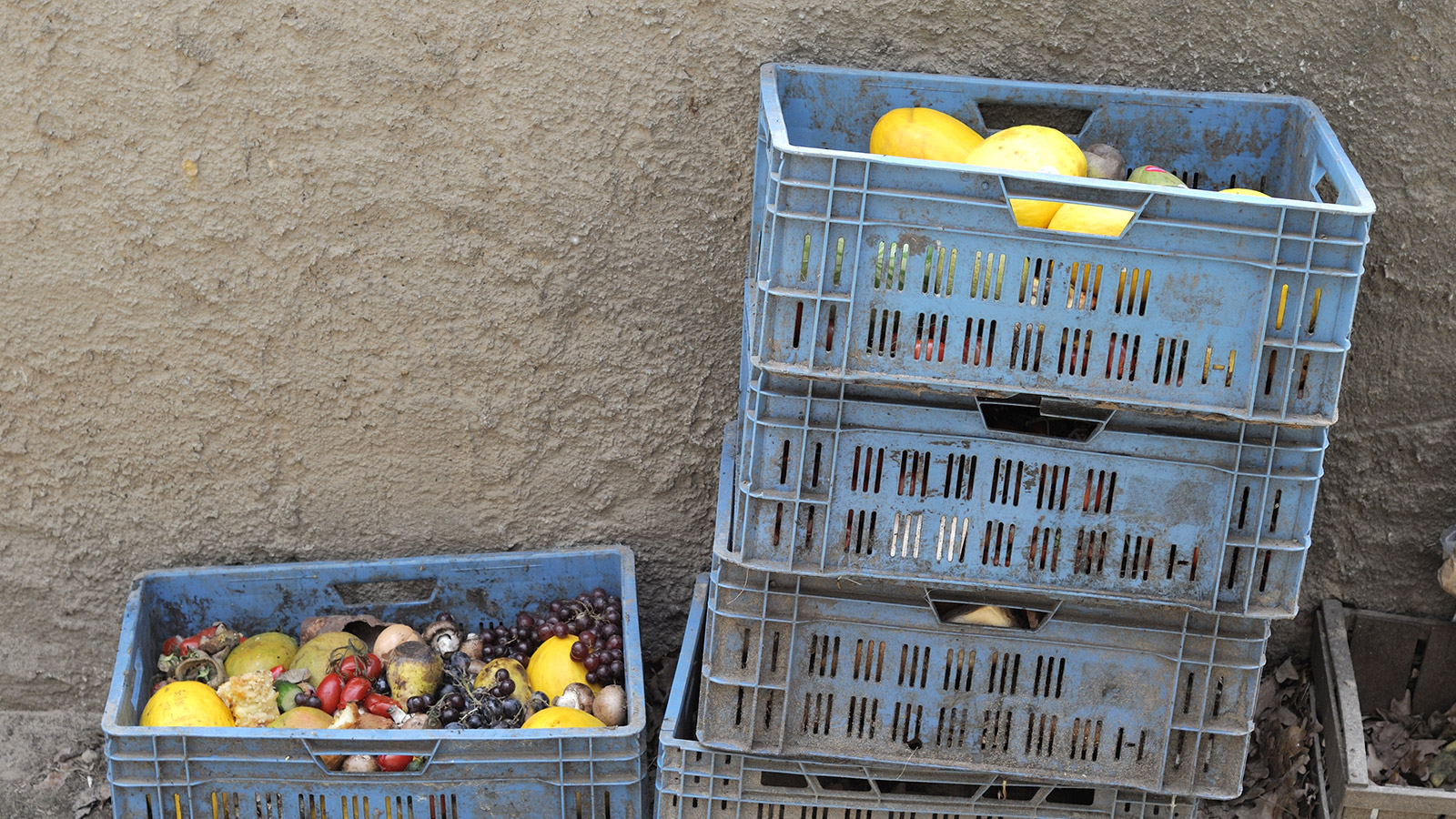Cómo evitar tirar comida | OCU