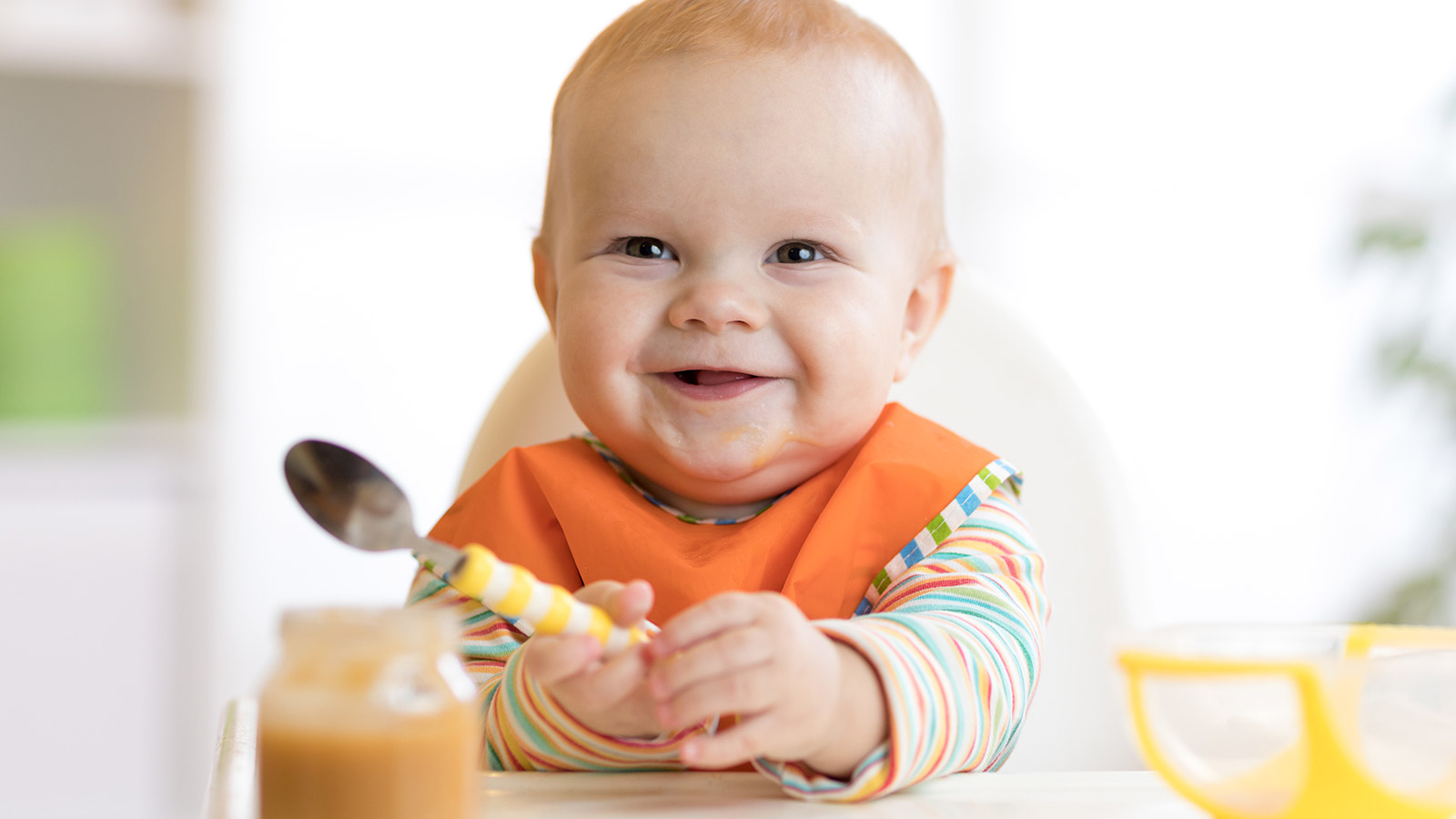 Análisis comparativo de tarritos para bebés.