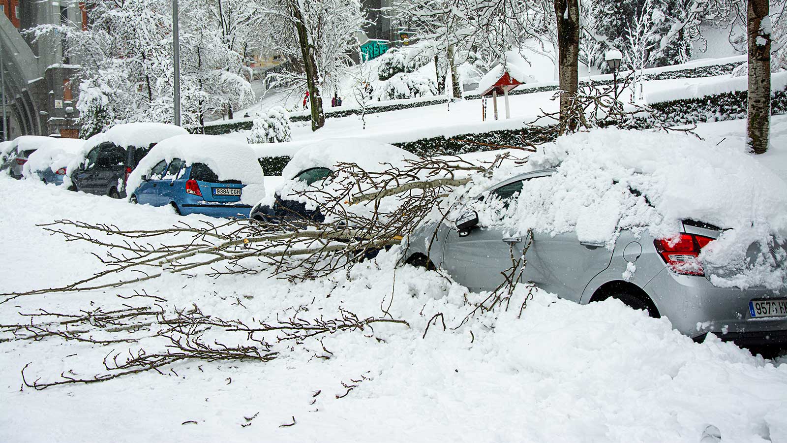 Daños causados por la nevada, ¿qué hacer? | OCU