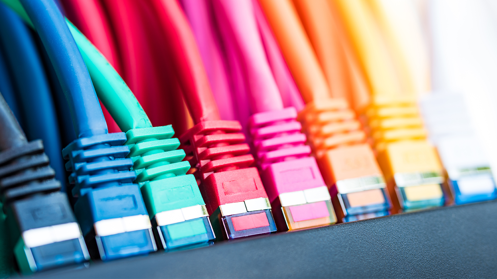 IP fija e IP dinámica: ¿en qué se diferencian? | OCU