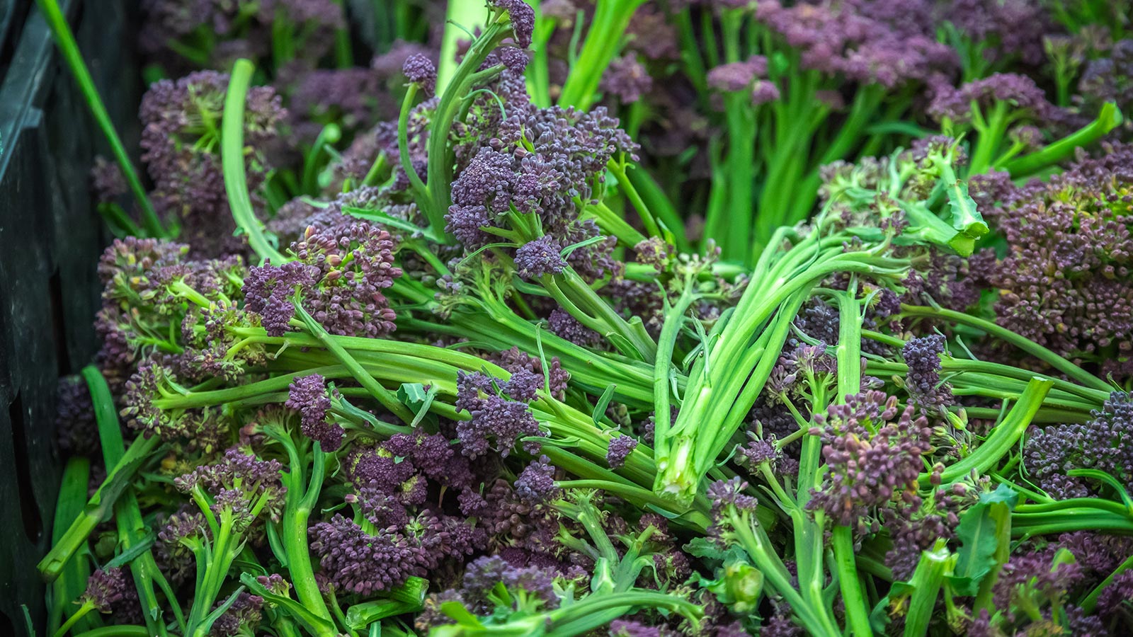 ¿Es el bimi una verdura con superpoderes?