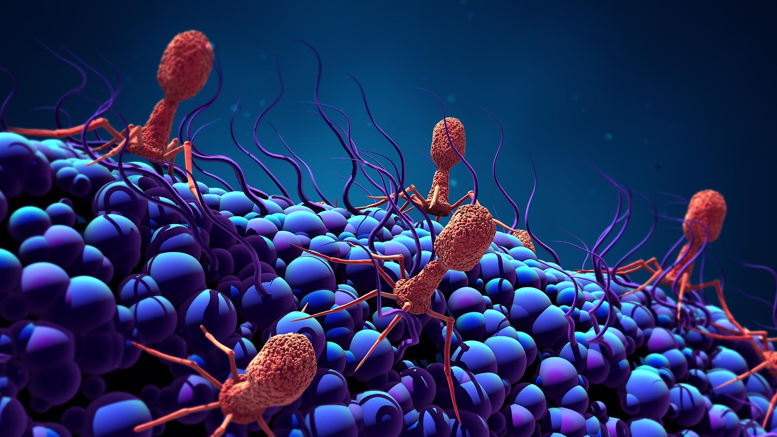 Qué son los bacteriófagos | OCU