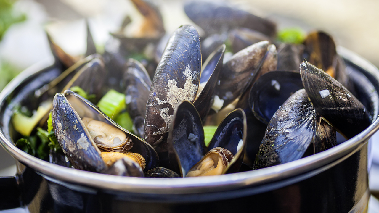 Mejillón: todo a su favor