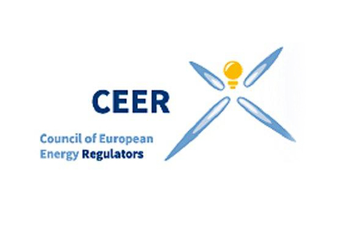 CEER 2014 Customer Conference: Retail Energy Markets: from advocacy to ...